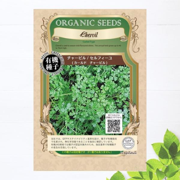 ●品種の特徴アニスに似た甘い風味があります。オムレツなどの卵料理や、鶏肉や白身魚、スープなど風味付けとして利用されます。上品な甘めの香りが淡白な食材に良く合います。レースのような繊細で綺麗な葉なので、飾り付けとしても使えます。40〜70セン...