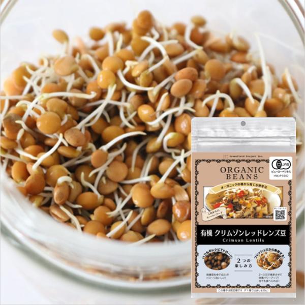 【発売日：2026年05月16日】●品種の特徴「クリムゾンレッド」は赤色タイプのレンズ豆。ほんのり甘く、生でサラダに。煮るととろーり柔らかくとてもおいしい豆です。「レンズ豆」は西アジア原産の平豆属の一年草です。レンズ豆は人類が栽培してきた豆...