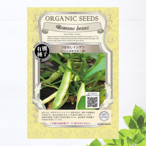 ●品種の特徴明るい黄色が特徴の平たいインゲン豆です。　味はやや甘みがあり風味豊か。　草丈５０センチ、莢の長さ１５〜１７センチ、幅２センチほどまで生長します。日本ではまだ珍しい、バターのように明るい黄色が特徴の多肉質なインゲン豆。緑色のインゲ...