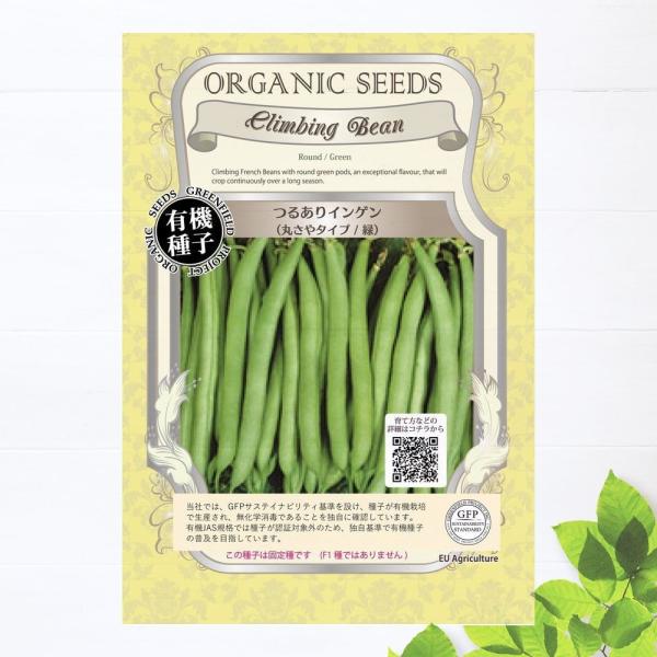 ●品種の特徴丸さやのつるありインゲンで１８ｃｍほどの長さになります。　やや薄い緑色の柔らかく、香り豊かなインゲンです。サラダ・胡麻和え・炒めもの等、しゃきしゃきした食感と程よい甘味を楽しみます。【育て方について】ポットに種を3〜4粒まき (...