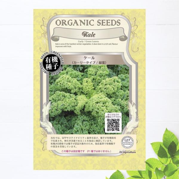 ●品種の特徴青汁に使用される葉野菜(不結球キャベッ)で、育てやすい健康野菜です。主に冬場に収穫します。青汁にする場合は、葉をジューサーに入れてしつかり搾り、栄養価が落ちないよう早めに飲みます。甘味のある野菜と一緒にスムージーにするとよリおい...