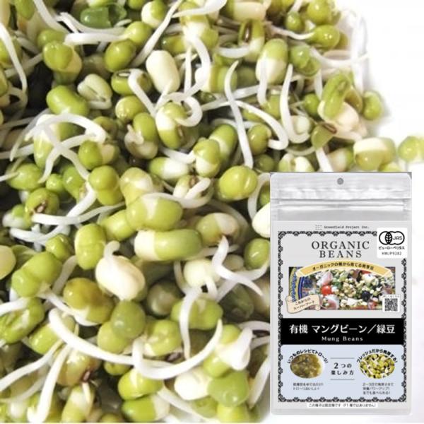 ●品種の特徴「マングビーン」は緑豆の一種で、ポリポリとナッツのような食べ応えのある品種です。ココナッツオイルのようなほんのり甘い風味が楽しめ、サラダにもおすすめです。煮込むとモチモチ感が出るため、インドではカレーに好んで利用されます。「緑豆...