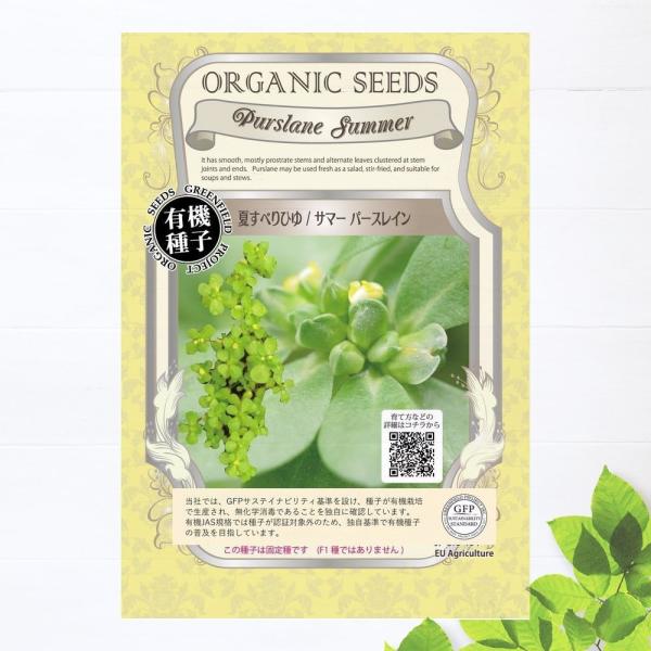 ●品種の特徴地表を這うように育つ多肉植物の野菜で、暑さ乾燥に強く、大変育てやすい野菜です。オメガ3脂肪酸含有量が非常に多く、また鉄分やビタミンBなど栄養価の高い健康野菜です。ぬめりけがある独特の食感で、生でサラダに混ぜると美味しいです。炒め...