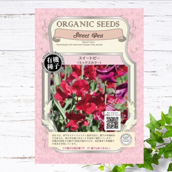 【発売日：2026年04月18日】●品種の特徴「スイトピーミックスカラー」は、紫・白・ピンク色等のミックスカラーの宿根スイートピーです。(色合いに偏りがでる場合があります。) 生育に適さない時期（主に冬の寒い時期）は、地上部は枯れてしまいま...