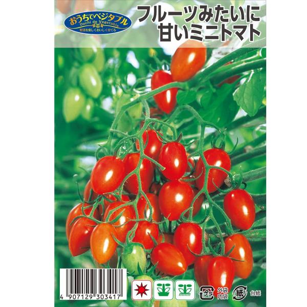 ●品種の特徴「フルーツみたいに甘いミニトマト（品種名：アイコ）」は皮がパリッとして果肉が厚く、甘みたっぷり。従来のミニトマトと比べて酸味が約半分なのでいっそう甘みが引き立ちます。リコピンたっぷり栄養価の高いミニトマトです。「トマト」は南アメ...