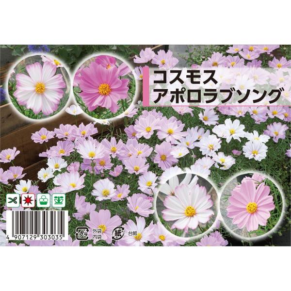 ●品種の特徴「アポロラブソング」の草丈は60cm前後でよく揃う矮性のコスモスです。白からピンクの濃淡が花壇を美しく彩ります。「コスモス」は秋に畑いっぱいに花を咲かせることから「秋桜」とも呼ばれています。厳密にいうとコスモスはキク科コスモス属...