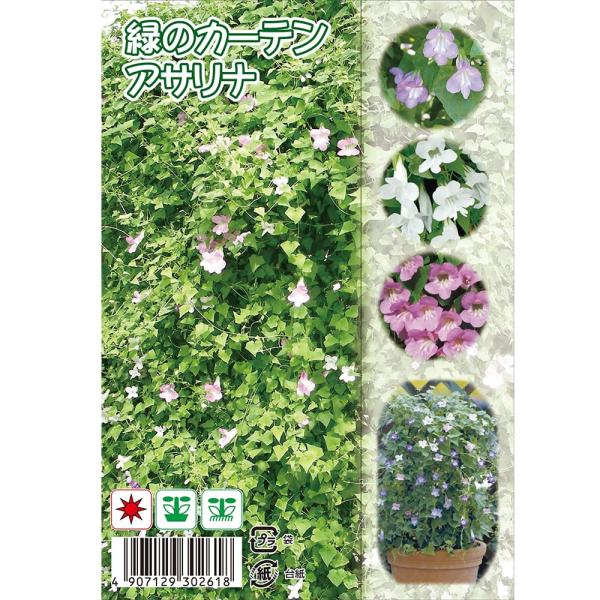 ●品種の特徴白花や淡い紫花などのアサリナの種の詰め合わせです。生育旺盛で良く茂り緑のカーテンに最適です。「アサリナ」は中央アメリカ原産のつる性植物で、現地では常緑の多年草扱いですが、日本では春植えの一年草扱いです。生育旺盛で良く茂ります。一...
