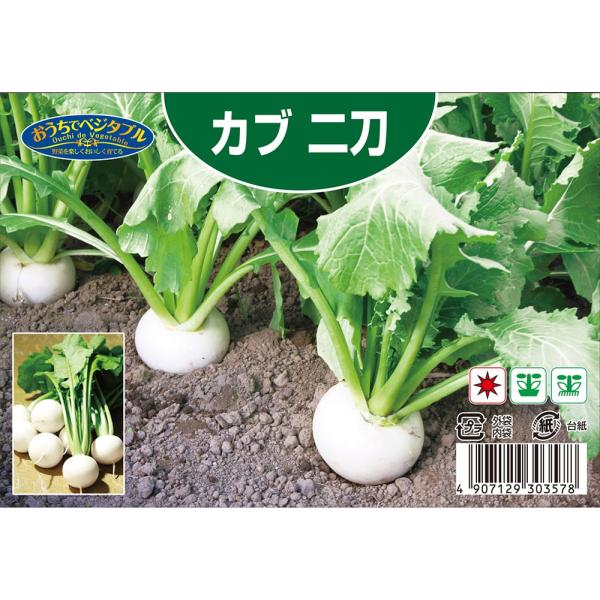 ●品種の特徴かぶ「二刀」は、秋まき年内収穫、冬まき春収穫できる中早生の子かぶです。根は、ひげ根が少なく丸く綺麗な形にまとまります。肉質が緻密ですが入りにくいのも嬉しい。食味も良く、くせが少なく甘みが強い美味しいかぶです。白さび病、根こぶ病、...