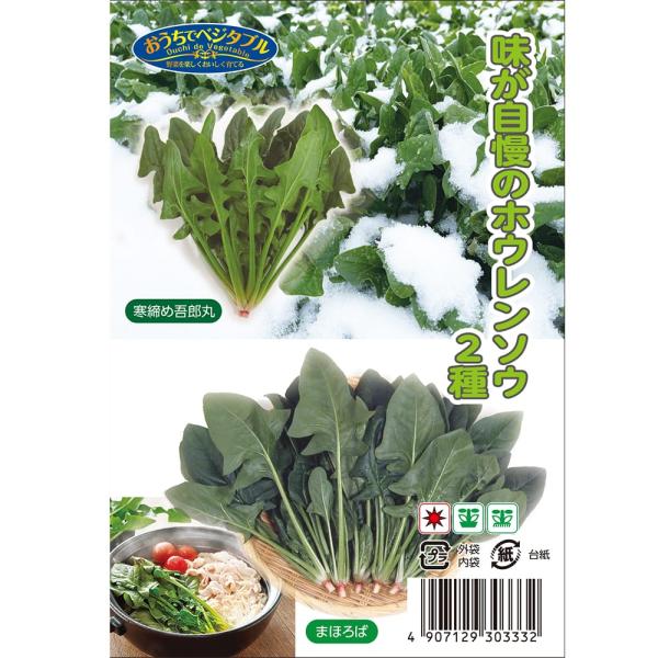 ●品種の特徴一年のうちに一度だけ出会える今までにない至極のおいしさと言われる「 寒締め吾郎丸」と、おいしいホウレンソウとして知られる「豊葉」の改良品種「 まほろば」の混合種。どちらも9月上旬から播種可能な秋播き品種です。「ほうれん草」は、葉...