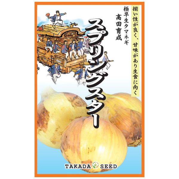 ●品種の特徴「スプリングスター」は暖地で4月上旬、中間地で4月中旬頃から収穫可能な極早生品種です。球形は甲高で良く揃い、球重300gほどになります。鱗片は厚く多汁質で甘味があるので生食におすすめ。青切り出荷に向き、生育旺盛で作りやすいです。...