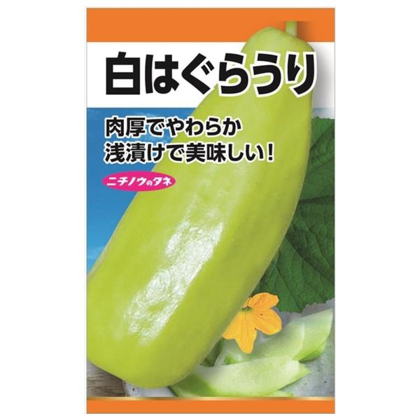 ●品種の特徴「白はぐら瓜」は、しまうりの一種で肉味で甘味、風味が強い品種です。果肉は柔らかく舌触りもいいのでとてもおいしく、浅漬け専用種として人気があります。しまうりの仲間なので、果皮に浅い縦溝が入ります。俵型で良く揃う豊産種です。学名：C...