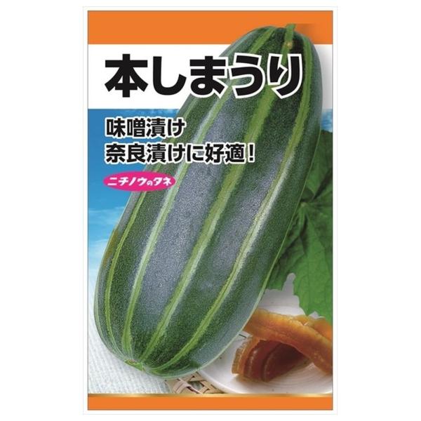 【発売日：2026年03月28日】●品種の特徴「本しまうり」は、長野県南信州周辺で作られている￥“漬物用のウリ”で、粕漬がポピュラー。しまうりの名の通り、しましまが特徴です。ウリ科の植物は梅雨や夏に育てることが多いため、どうしてもうどん粉病...