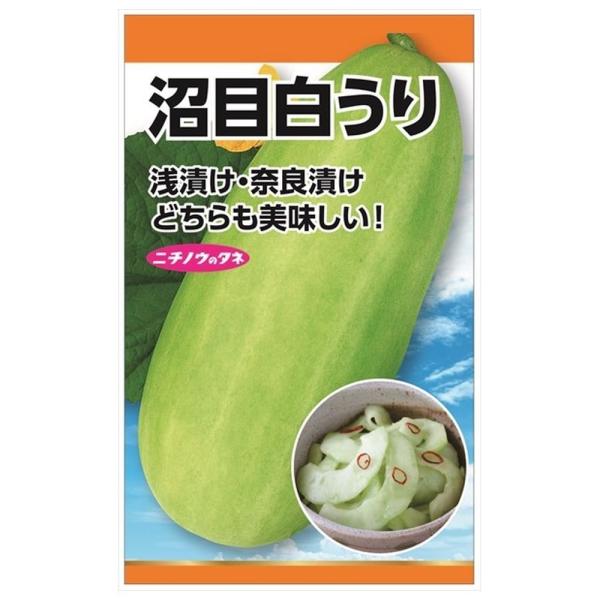 ●品種の特徴「沼目白ウリ」は、浅漬け・ぬか漬け用の漬けウリです。歯ごたえ抜群で、歯切れが良い品種です。耐暑性・耐病性に優れているのも魅力です。学名：Cucurbitaceae　ウリ科　キュウリ属花色・大きさ・花形：白や黄色・・一重咲き果実の...