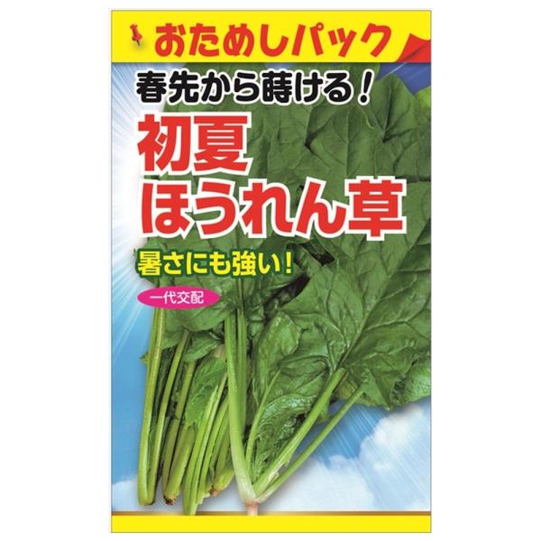 【発売日：2026年03月28日】●品種の特徴「初夏ホウレンソウ」はとう立ちしにくいため、初夏まで栽培を楽しめます。「ほうれん草」は、葉を食べる代表的な緑黄色野菜です。とう立ちすると（蕾がつくと）食味が悪くなるため、基本的に冷涼な地域や季節...