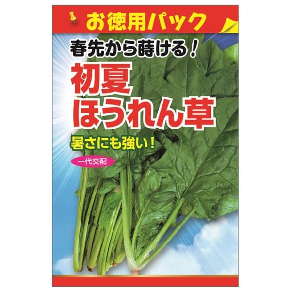 【発売日：2026年03月28日】●品種の特徴「初夏ホウレンソウ」はとう立ちしにくいため、初夏まで栽培を楽しめます。「ほうれん草」は、葉を食べる代表的な緑黄色野菜です。とう立ちすると（蕾がつくと）食味が悪くなるため、基本的に冷涼な地域や季節...