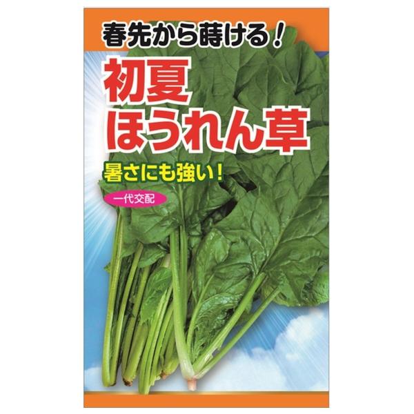 【発売日：2026年03月28日】●品種の特徴「初夏ホウレンソウ」はとう立ちしにくいため、初夏まで栽培を楽しめます。「ほうれん草」は、葉を食べる代表的な緑黄色野菜です。とう立ちすると（蕾がつくと）食味が悪くなるため、基本的に冷涼な地域や季節...