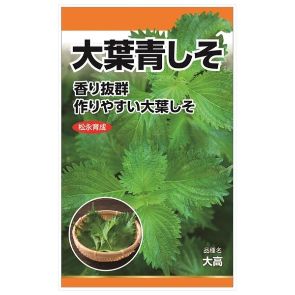 ●品種の特徴「大葉青じそ」は、香りの良い作りやすい大葉です。大葉という読み方は静岡のつまもの生産組合が青じそを売り出す際につけた商品名だったようですが、今は一般的に青じそを指すようになりました。また、葉の形状のまま利用される青じそを「大葉」...