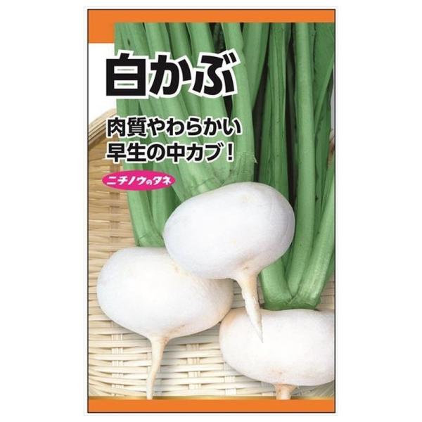 ●品種の特徴「白かぶ」は浅漬けやぬか漬けなどの漬物や、サラダ、煮物や炒め物、蒸し料理など様々な調理方法で楽しめます。姿はやや扁平で皮は薄く、肉質はやわらかで緻密、葉は美しい緑色になります。早生品種なので春から夏から育てることが可能です。「か...