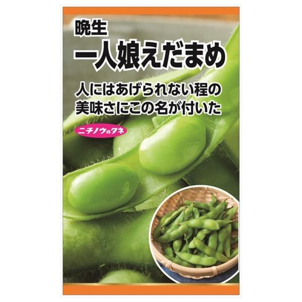 ●品種の特徴「一人娘枝豆」は、豊産性の高い晩成の大粒品種です。新潟県の燕市近郊で古くから栽培されていた一本豆の一品種です。一サヤに2、3粒入っています。枝豆は大豆の未成熟果です。緑色のうちに枝ごと収穫し、ゆでて食用にします。大豆には日長に影...