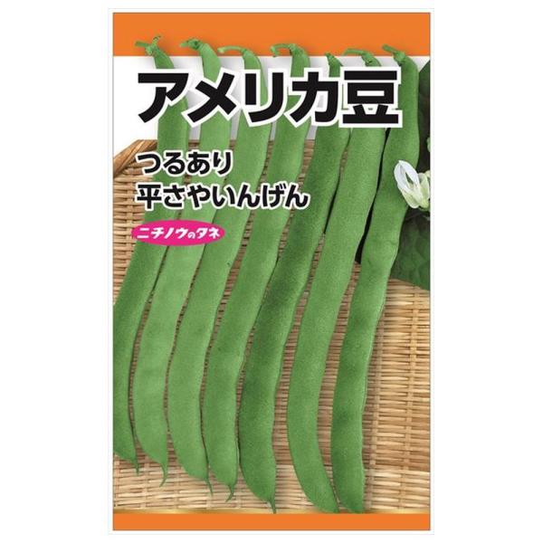 ●品種の特徴「アメリカ豆」は、比較的暑さに強い暖地向けのいんげんです。インゲンマメは古代からアメリカ大陸での主要作物として栽培されており、アステカ帝国では乾燥させたインゲンを税の物納品目として徴収していました。日本には明からの帰化僧・隠元禅...