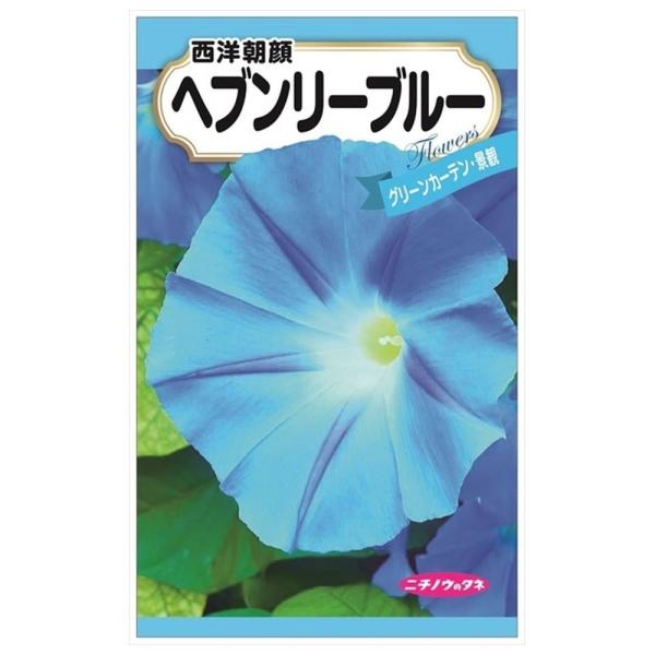 ●品種の特徴「ヘブンリーブルー」は、西洋字顔を代表する品種です。無地の鮮やかな青色の花が印象的。耐寒性があるため、霜の頃まで咲き続けます。「西洋朝顔」は、一般の朝顔と同じヒルガオ科サツマイモ属の草花です。園芸では西洋朝顔と呼ばれることが多く...