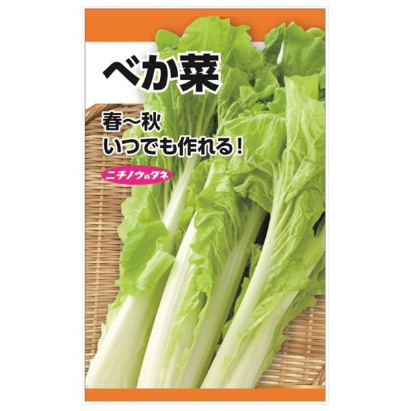 ●品種の特徴「べか菜」は、白菜の一種である山東菜の小型品種です。本来の山東菜は、白菜よりも大きい結球しない品種ですが、べか菜は小さなものを選抜したものになります。白菜は中国原産の葉物野菜で、英語でChinese cabbage（中国のキャベ...