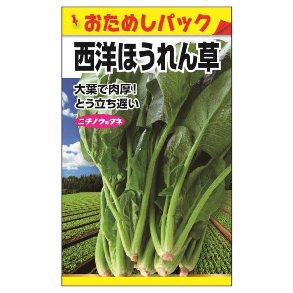 ●品種の特徴「西洋ほうれん草（大葉）」は、とう立ちしにくい西洋ほうれん草の中でも大葉の形質を持つほうれん草です。「ほうれん草」は、葉を食べる代表的な緑黄色野菜です。とう立ちすると（蕾がつくと）食味が悪くなるため、基本的に冷涼な地域や季節に栽...