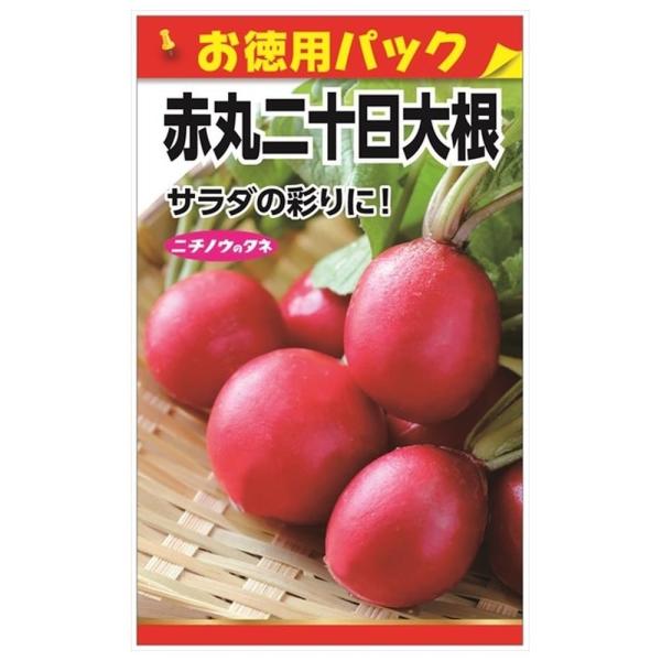 ●品種の特徴「赤丸二十日大根」いわゆるラディッシュと呼ばれています。根皮の鮮やかな紅色が特徴的で、サラダにするととても映えます。「ラディッシュ」は、広義の意味では「大根」を指しますが、日本においては二十日大根を指すことが一般的です。ちなみに...