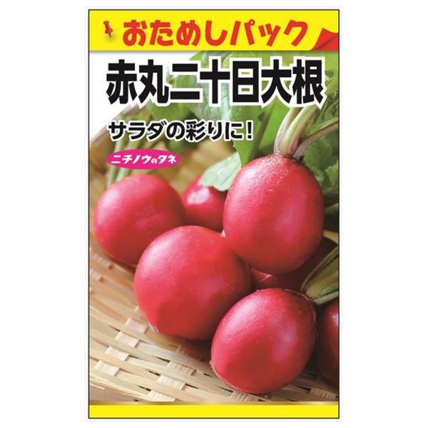 ●品種の特徴「赤丸二十日大根」いわゆるラディッシュと呼ばれています。根皮の鮮やかな紅色が特徴的で、サラダにするととても映えます。「ラディッシュ」は、広義の意味では「大根」を指しますが、日本においては二十日大根を指すことが一般的です。ちなみに...
