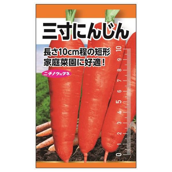 ●品種の特徴「三寸人参」は、根の長さが10cmほどの短根タイプです。耕土に深さが必要ないため、プランターでも簡単に育てられます。播種から収穫まで90日ほどの極早生品種です。ニンジンは中央アジアが原産の根菜です。冷涼な気候を好みますが、苗の段...