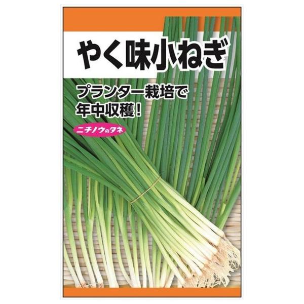 ●品種の特徴「薬味小ねぎ」は、単に薬味ねぎや小ねぎ、細ねぎ、万能ねぎなどと呼ばれ、一般には葉ねぎを若どりしたものとされています。各地で盛んに栽培されている万能ねぎの多くは九条細ねぎの改良品種を早取りしたものとなり、それ以外を小ねぎと呼び分け...