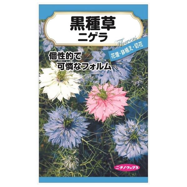 ●品種の特徴「ニゲラ」は黒種草の学名です。その名の通り、花後に結実して黒い種子を付けます。種子にはバニラのような芳香があり、果実が大きくなったころにドライフラワーに仕立てても素敵です。学名：Nigella　キンポウゲ科　クロタネソウ属別名：...
