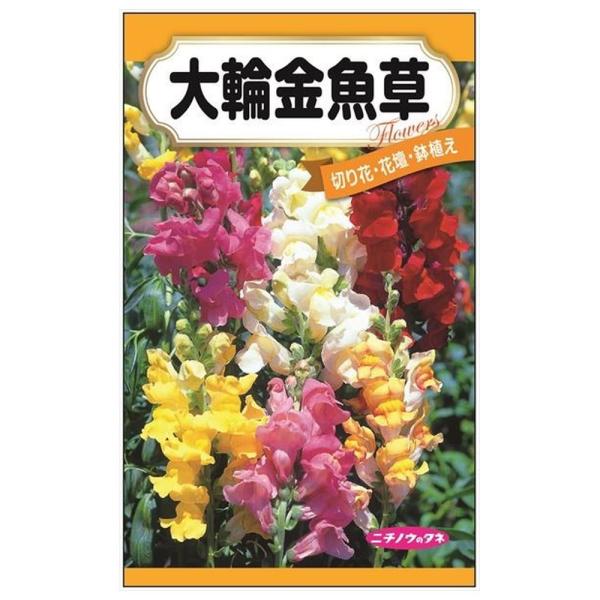 ●品種の特徴「大輪金魚草」は花もちのいい系統をよりとった品種で、色々な花色を詰め合わせました。「金魚草」は、フリフリのひれを持つ金魚のようなかわいらしい花です。甘い香りにふっくらとした花形、品種によって様々な色が楽しめます。育ち方も、咲き方...