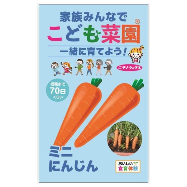 ●品種の特徴「ミニキャロット」は、ミニにんじんやベビーキャロトと呼ばれる10cm程度の小型のにんじんです。大きく成長する品種の早採りもミニキャロットと呼ばれていますが、小さいうちに取った方が甘みが強いとされています。ニンジンは中央アジアが原...