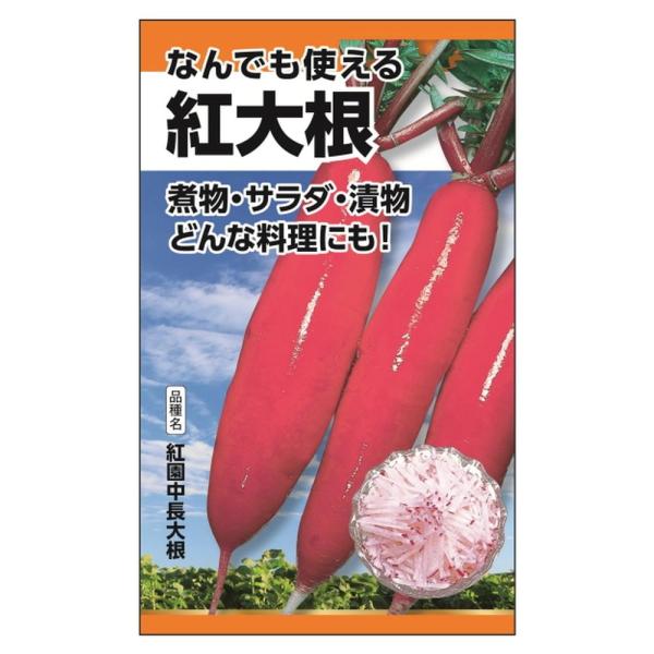 ●品種の特徴「なんでも使える紅大根（赤とんぼ）」は紅大根の一種です。学名：Raphanus sativus var. hortensis　アブラナ科　ダイコン属別名：スズシロ、オオネ花色・大きさ・花形：白または淡い紫色・（2cm位）・小さな...
