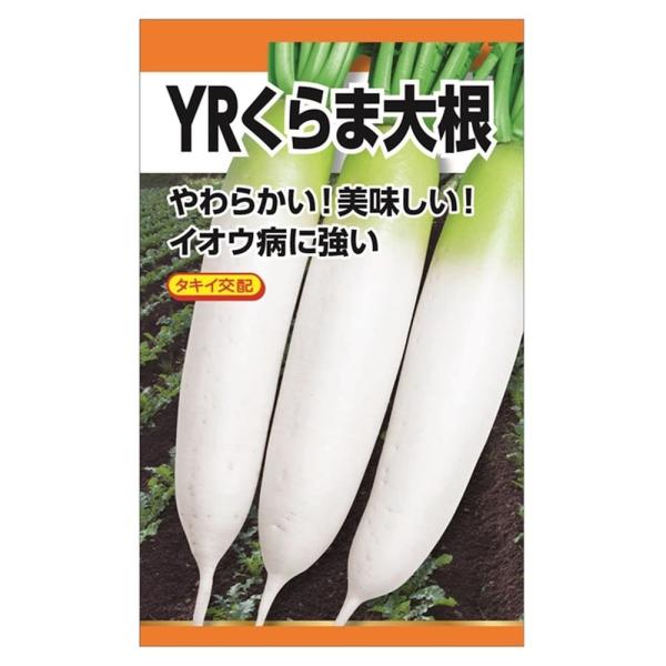 ●品種の特徴「YRくらま大根」はウイルス病や萎黄病に強い肉質極上の青首品種です。肌はなめらかでつややか。葉の茂り葉やや旺盛です。ダイコンは、根も葉も食べられる、日本でも品種や調理方法が豊富な野菜です。日本には弥生時代には伝わったものの、一般...