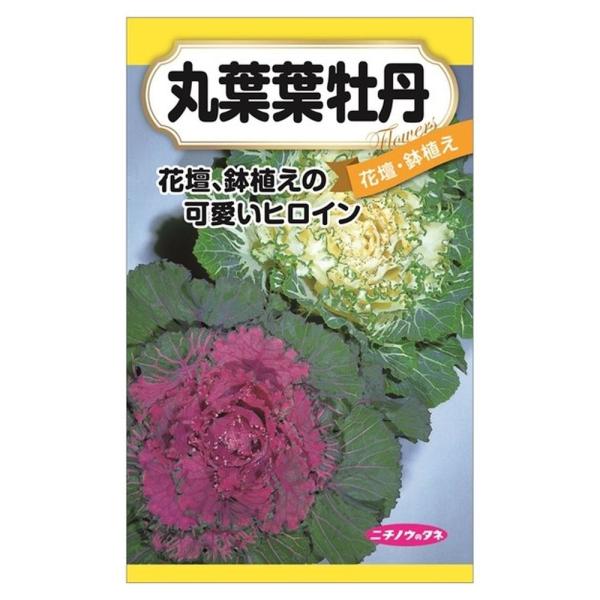●品種の特徴「丸葉葉牡丹」は古くからある葉牡丹の系統で、その名前の通り葉が丸く、見た目はキャベツに似ています。暑さ寒さに強い育てやすい系統です。「葉牡丹（ハボタン）」は夏に播種し、冬から春にかけてその鮮やかな葉を観賞する植物です。キャベツの...