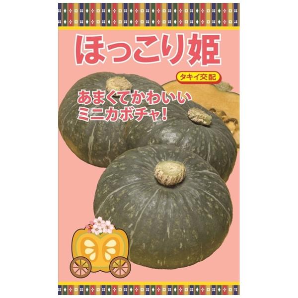 ●品種の特徴カボチャ「ほっこり姫」は重さ600〜800g程度のミニカボチャで、緻密な肉質で食味食感に優れています。果皮は濃緑色でちらし斑が入ります。1つるから3果、3本仕立てだと1株から10果以上とれる多収品種。放任でもOKな樹勢が強く育て...