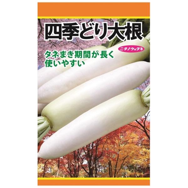 ●品種の特徴「四季どり大根」は春まきなら初夏に、秋まきなら晩秋から冬にかけて収穫できる大根です。種まき期間が長いので、年中作りやすいのも嬉しいですね。種まきから2か月ほどで収穫ができる太りが良い品種です。ダイコンは、根も葉も食べられる、日本...