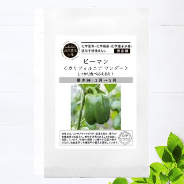 ●品種の特徴「カリフォルニアワンダー」は、果肉が厚く食べ応えのある大型のピーマンです。肉詰め・天ぷら・炒め物などにあいます。自然農法で栽培された国産の種です。ピーマンは熱帯アメリカ原産の代表的な夏野菜の一つです。トウガラシの仲間で、果実が大...