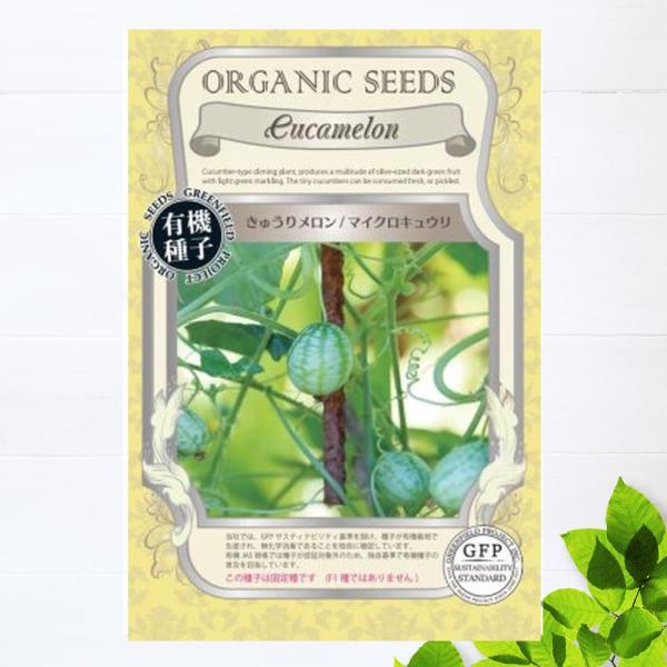 ●品種の特徴「きゅうりメロン」は日本ではあまり馴染みのない野菜で、スーパーに置いてあることはほとんどありません。きゅうりやメロンと名前がつきますが、きゅうりとメロンはウリ属ですが、きゅうりメロンはメロトリア属です。果実はブドウほどの大きさで...