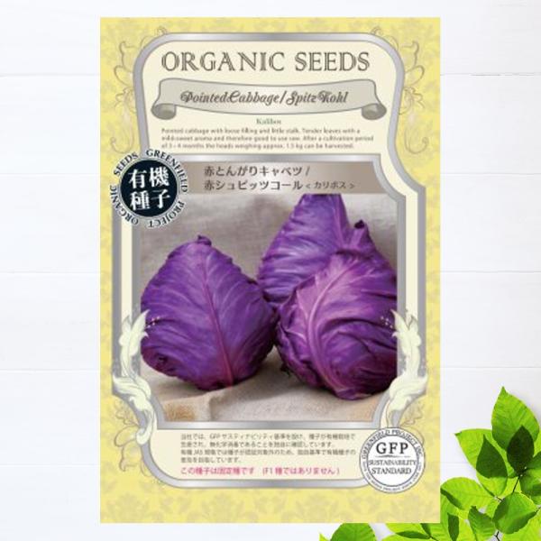 ●品種の特徴「カリボス」は赤とんがりキャベツ/赤シュピッツコールの一種で、葉が柔らかく程よい甘みと香りが魅力的なキャベツです。生でも美味しくいただけます。キャベツは世界の多くの地域で栽培されている野菜で、栄養豊富なことから薬用や保険食として...