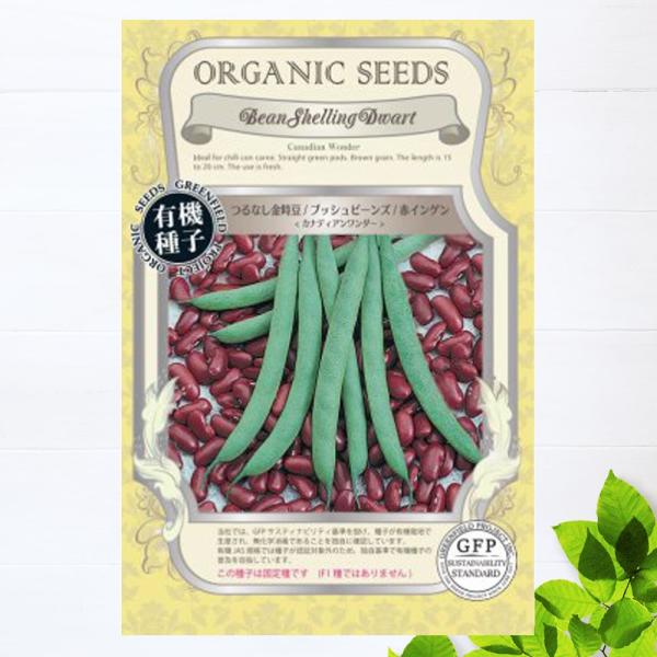 ●品種の特徴「カナディアンワンダー」は、つるなしの赤インゲンで莢の中の真っ赤な豆を食べます。一莢に5粒くらいの豆が入っており、アメリカ南部料理「チリコンカルネ」やメキシコの豆料理に使われます。和食の金時豆にしても美味しいです。インゲンマメは...