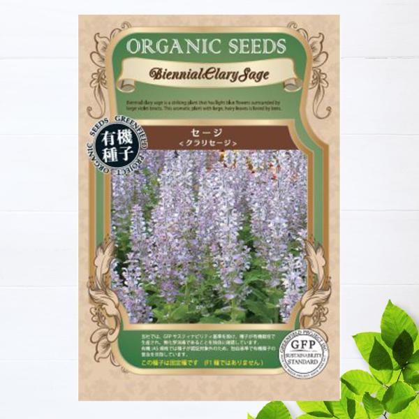 ●品種の特徴「クラリセージ」は草丈１mほどになる品種で花壇の主役に相応しい抜群の存在感です。花びらはエディブルフラワーにサラダにハーブに、葉は香りが強くポプリにもおすすめです。「サルビア」というと真っ赤な花をイメージする人も多いのではないで...