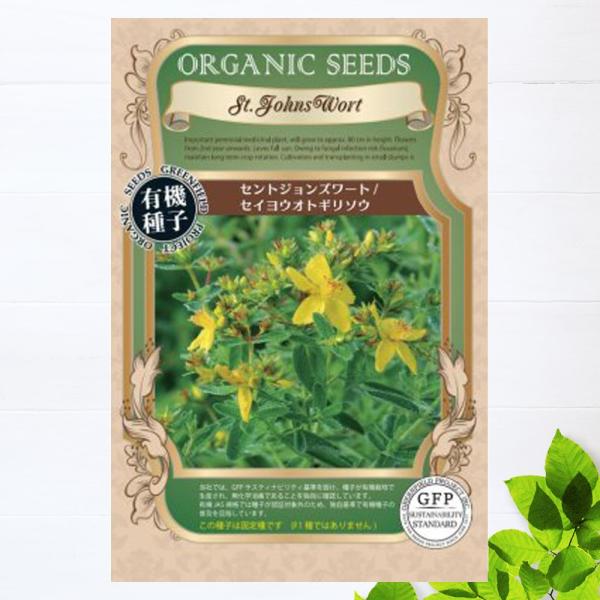 ●品種の特徴夏に咲く黄色い５弁の花からはレモンに似た香りがします。 中世ヨーロッパでは悪魔や魔女を遠ざけるお守りとして玄関や窓に吊るされました。 アメリカではサプリメントとして扱われており、サンシャインハーブやハッピーハーブと呼ばれ、心を前...