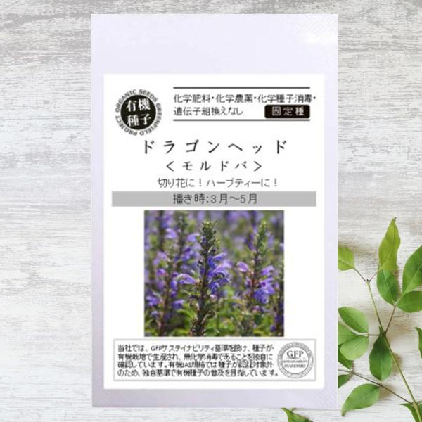 ●品種の特徴「ドラゴンヘッド」の葉はレモンの香りのハーブティーに、花はエディブルフラワーとしてケーキやサラダに飾ってもきれいです。切り花やミツバチを呼び寄せる花としても利用できます。花の形がドラゴンの頭に似ていることから命名されました。絶滅...