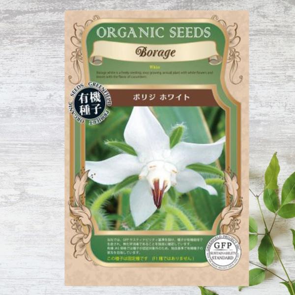 ●品種の特徴「ホワイト」は白い花が咲くボリジ。「ボリジ」の花は、砂糖漬けにしてケーキの飾りに使ったり、ハーブティーに浮かべたり、ポプリやドライフラワーにしたりと、その可憐な花姿を楽しむ方法は様々です。また、民間薬としても用いられてきたハーブ...