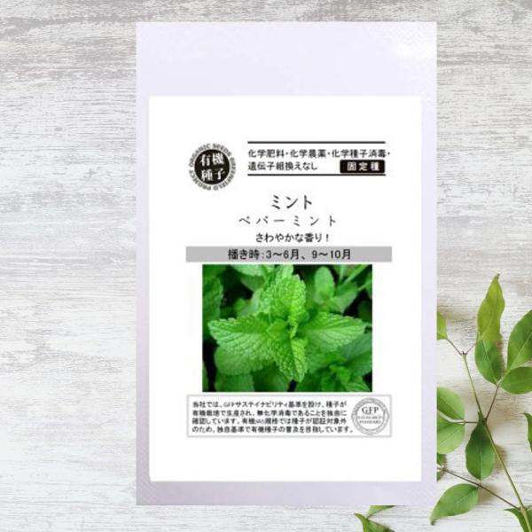 ●品種の特徴「ペパーミント」はスペアミントとウォーターミントの交雑種です。ミントのなかでもメントールの成分が入っているため、ピリッとするほど強い清涼感があります。７〜８月になると、葉の上のほうに小さな薄紫色または白色の花を咲かせます。多くの...