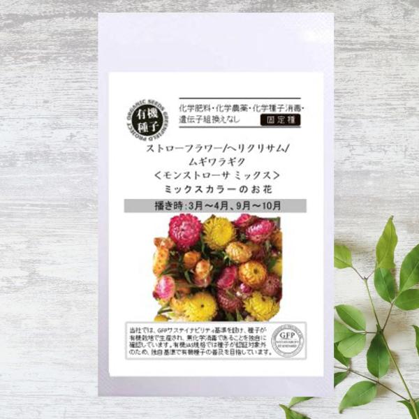 ●品種の特徴「モンストローサ ミックス」は、草勢が強く1〜1.2mの高さに成長する夏の花です。オレンジ・ピンク・ゴールド・ダークレッド系の詰め合わせたミックスカラーです。「ヘリクリサム」は帝王貝細工の学名で、ムギワラギクとも呼ばれています。...