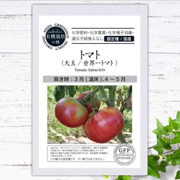●品種の特徴「世界一トマト」は、大ぶりの桃色トマトで多収穫が見込めます。ケチャップ加工に使用するトマトの品種改良の中で偶然見つかった「生食に最適のトマト」。ポンテローザの選抜品種、またはポンテローザとビーフハート種を交配させ固定したものと言...